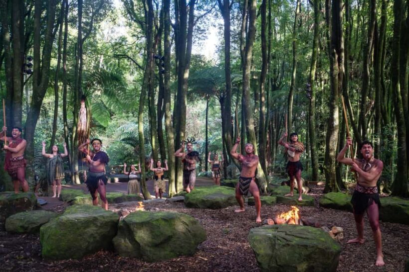 Rotorua: Te Pa Tu Mori Cultural Experience with Dinner - Setting and Atmosphere: A Forest of Stories and Songs
