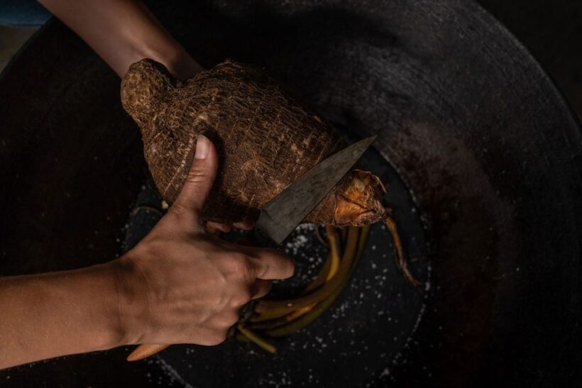 Rotorua: Te Pa Tu Mori Cultural Experience with Dinner - Cultural Insights and Authenticity