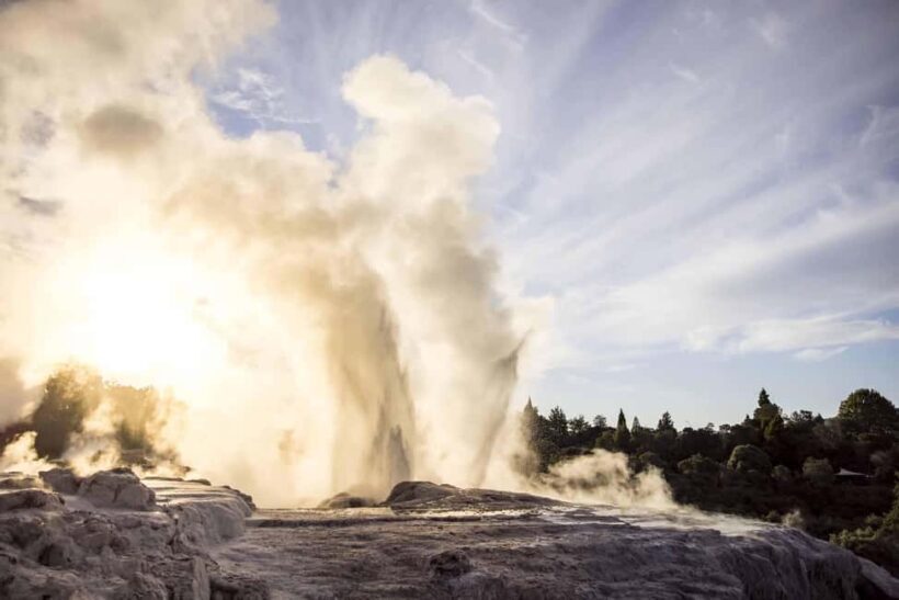Rotorua: Te Puia Geothermal Valley Tour with Cultural Show - The Sum Up: Who Will Love This Tour?