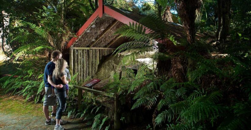 Rotorua: The Buried Village of Te Wairoa - A Deep Dive into What You’ll Experience