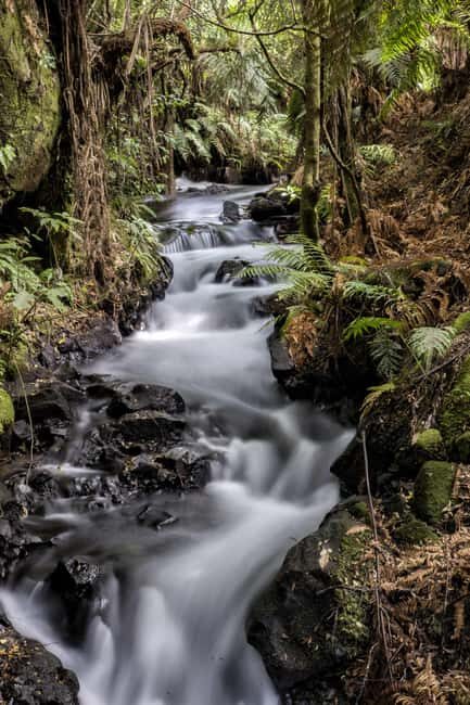 Rotorua: The Buried Village of Te Wairoa - Authentic Experiences That Stand Out