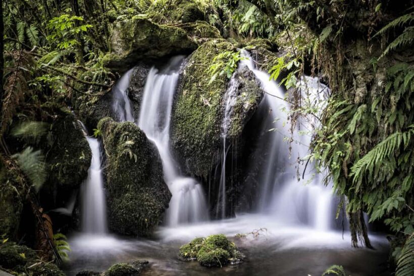 Rotorua: The Buried Village of Te Wairoa - FAQ