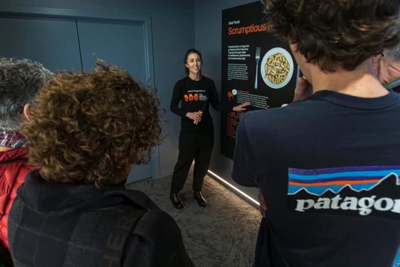 Rotorua: The National Kiwi Hatchery Kiwi Encounter Tour - An In-Depth Look at the Kiwi Encounter Tour