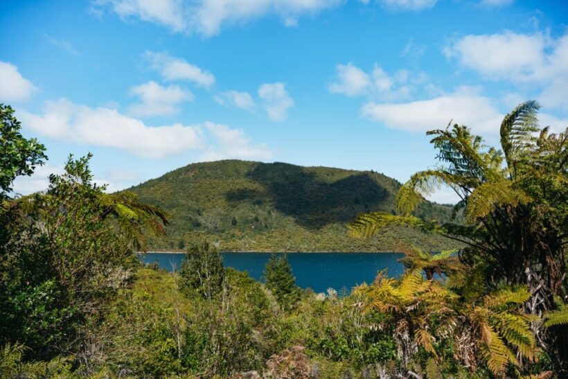 Rotorua: 'Thermal Path Tour' Geothermal half day Tour - A Detailed Look at the Thermal Path Tour