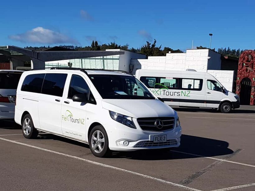 Rotorua to Auckland - Afternoon Transfer with Waitomo Caves - Key Points