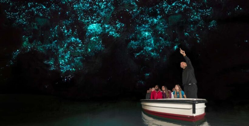 Rotorua to Auckland - Afternoon Transfer with Waitomo Caves - An Overview of the Experience