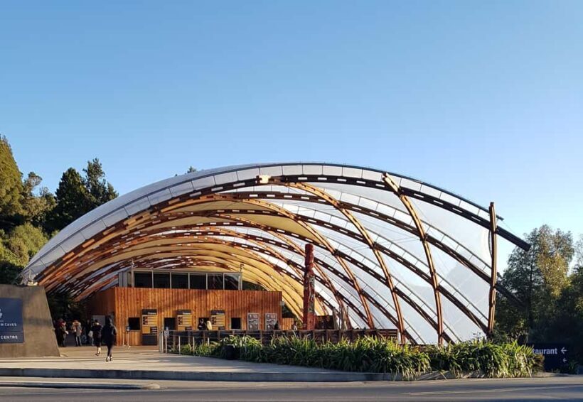 Rotorua to Auckland - Afternoon Transfer with Waitomo Caves - The Transport and Group Size