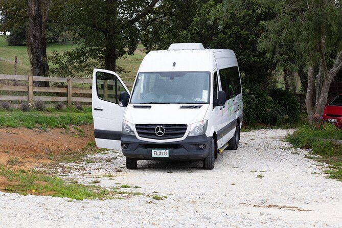 Rotorua to Auckland Afternoon Transfer with Waitomo Glow Worms - Introducing the Rotorua to Auckland Transfer with Waitomo Glow Worms Tour