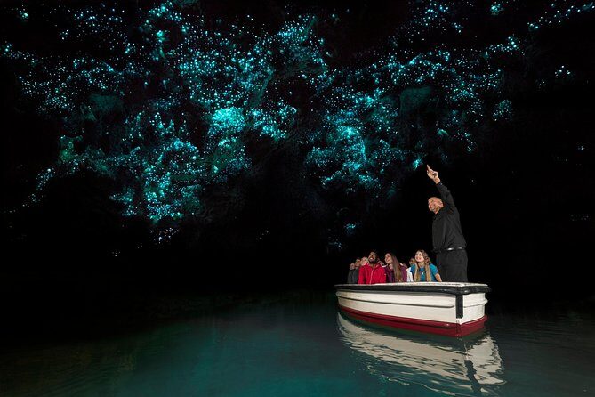 Rotorua to Auckland Afternoon Transfer with Waitomo Glow Worms - An In-Depth Look at the Experience