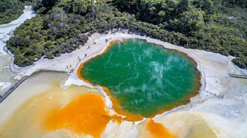 Rotorua: to Auckland via WaiOTapu, Taupo & Hamilton Gardens - Is This Tour Worth It?