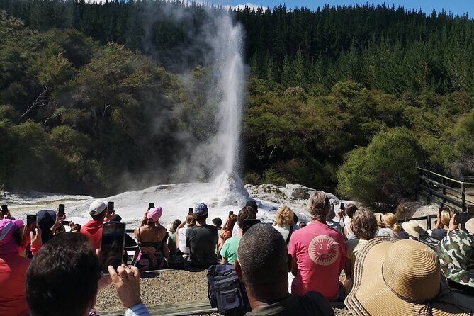 Rotorua to Wai-o-Tapu Thermal Wonderland Shuttle - Final Thoughts: Is It Worth It?