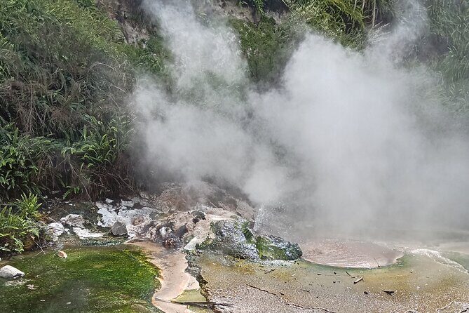 Rotorua to Waimangu Volcanic Valley Morning Shuttle - Who Should Consider This Tour?