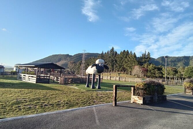 Rotorua Tour from Auckland with buffet Lunch at Skyline Summit - Key Points