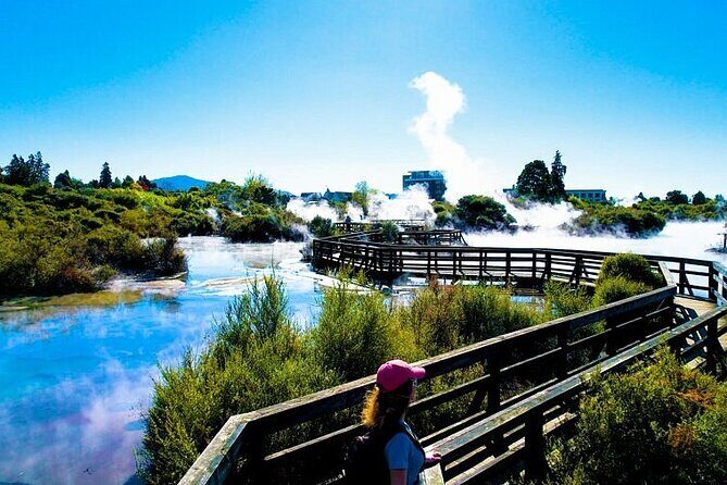 Rotorua Tour from Auckland with buffet Lunch at Skyline Summit - What Travelers Say