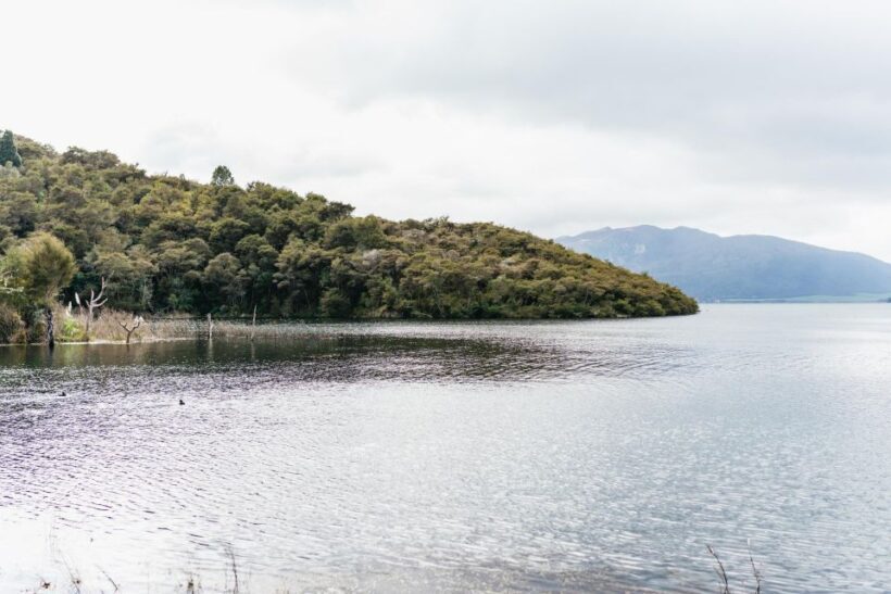 Rotorua: Waimangu Volcanic Valley Ticket & Self-Guided Walk - An In-Depth Look at Waimangu Volcanic Valley