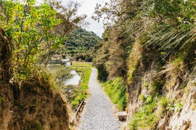 Rotorua: Waimangu Volcanic Valley Ticket & Self-Guided Walk - The Sum Up