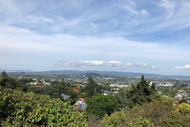 Rotorua & Waitomo caves day tours from Auckland - Value for Money and Practical Tips