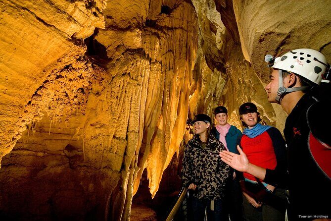 Rotorua & Waitomo caves day tours from Auckland - Who Will Love This Tour?