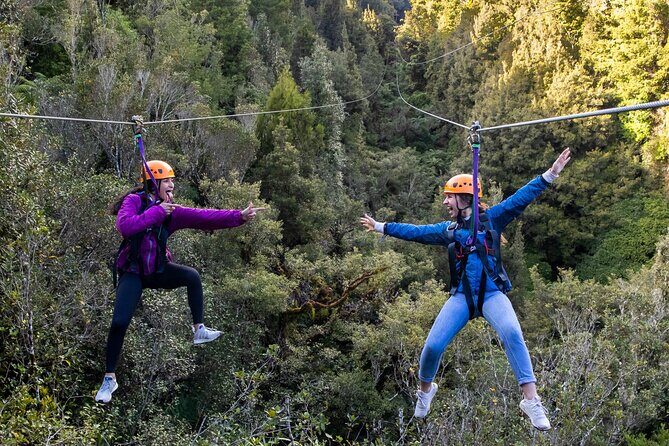 Rotorua's Biggest Zipline Adventure - Ultimate Canopy Tour - An In-Depth Look at Rotorua’s Ultimate Canopy Tour