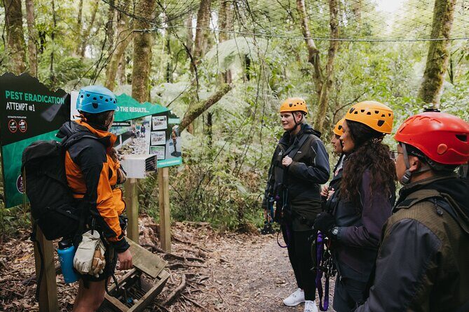 Rotoruas Original 3hr Unique Ancient Forest Zipline Adventure - What Could Be Considered