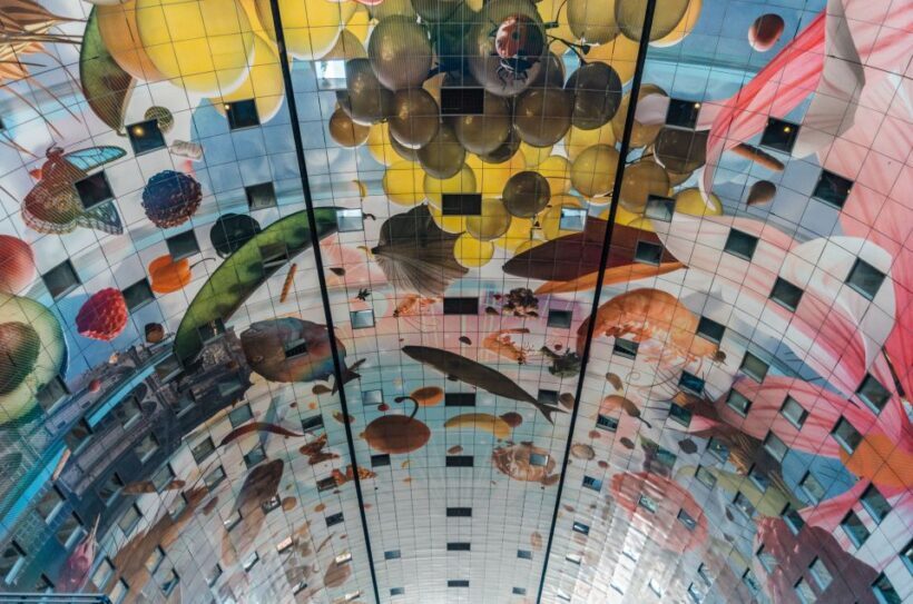 Rotterdam: Architectural Highlights Guided Walking Tour - Key Points from the Rotterdam Architectural Tour