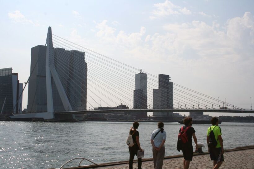 Rotterdam: Architectural Highlights Guided Walking Tour - The Value for Money