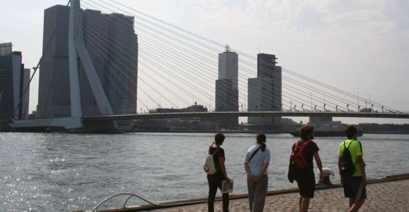 Rotterdam: Architectural Highlights Guided Walking Tour - Wrapping It Up