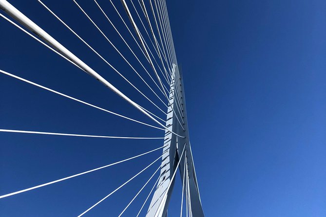 Rotterdam Architecture Highlights Walking Tour - Markthal: An Architectural Feast for the Senses