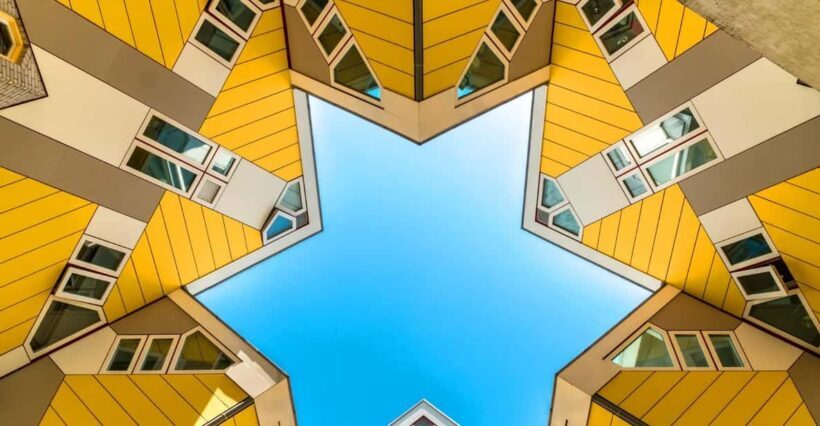 Rotterdam: Capture the most Photogenic Spots with a Local - An Overview of the Experience