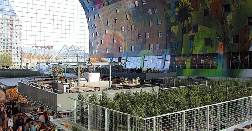Rotterdam: City Center Walking Tour - What to Expect from the Rotterdam City Center Walking Tour