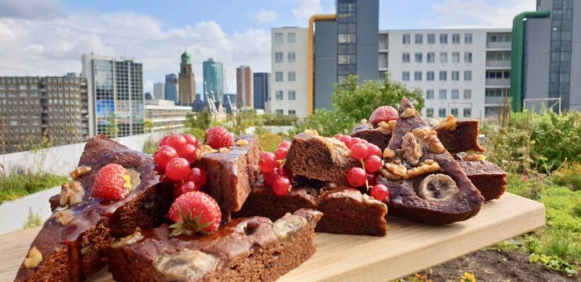 Rotterdam: Food Tour by Bike - The Food Experience