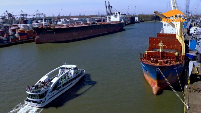 Rotterdam: Harbor Sightseeing Cruise - Who Should Book This Tour?