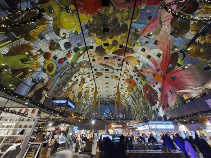 Rotterdam: Highlights & Gems Walking Tour with Dutch Local - Analyzing the Value
