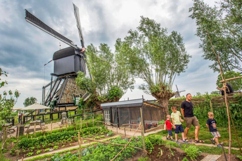 Rotterdam: Kinderdijk UNESCO World Heritage Entry Ticket - What’s Included and What’s Not