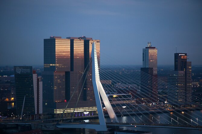 Rotterdam Like a Local: Customized Private Tour - Flexible Meeting and Ending Points