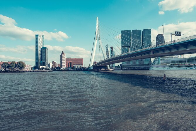 Rotterdam Like a Local: Customized Private Tour - What to Expect: Traveler Reviews and Feedback