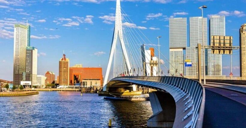 Rotterdam: Must-See Attractions Guided Walking Tour - Who will love this tour?