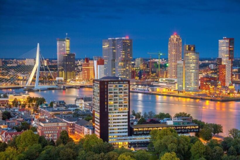 Rotterdam: Private Custom Walking Tour with Local Guide - Exploring Rotterdam with a Personal Touch
