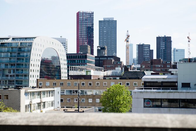Rotterdam Rooftop Tour - Inclusions and Meeting Logistics