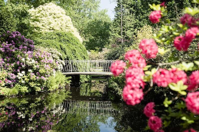 Rotterdam: Trompenburg Botanical Gardens Entry Ticket - A Peaceful Escape in the Heart of Rotterdam