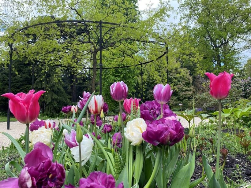 Rotterdam: Trompenburg Botanical Gardens Entry Ticket - Who Will Love Trompenburg?
