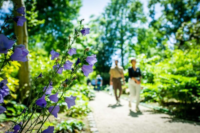 Rotterdam: Trompenburg Botanical Gardens Entry Ticket - FAQ
