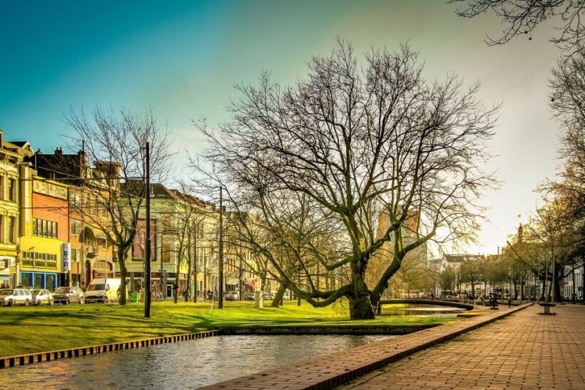 Rotterdam Walking Tour and Harbor Cruise - Authenticity and Reviews