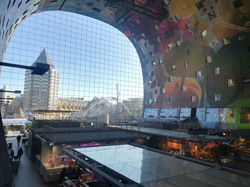 Rotterdam Walking Tour and Harbor Cruise - Practical Tips for Visitors