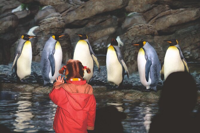 Rotterdam Zoo Blijdorp Direct Entrance Ticket - Planning Your Visit