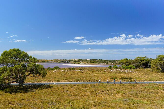 Rottnest Coastal Explorer Tour - A Closer Look at the Rottnest Coastal Explorer Tour