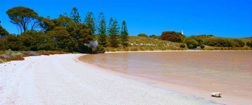 Rottnest Grand Island Package with Ferry, Tour & Light Lunch - Wildlife & Cultural Heritage: Quokkas & More