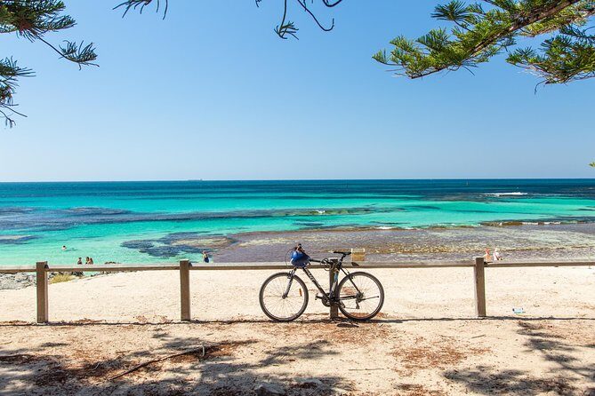 Rottnest Island Bayseeker Day Trip from Fremantle - The Value of the Tour: Price vs. Experience