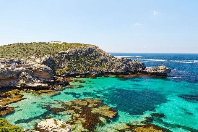 Rottnest Island Bayseeker Day Trip from Fremantle - Final Thoughts: Is It Worth It?