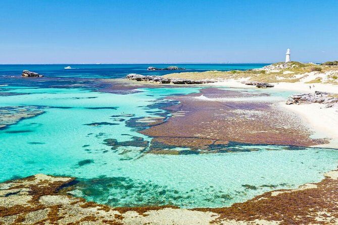 Rottnest Island Bayseeker Day Trip from Perth - Detailed Breakdown of the Tour Experience